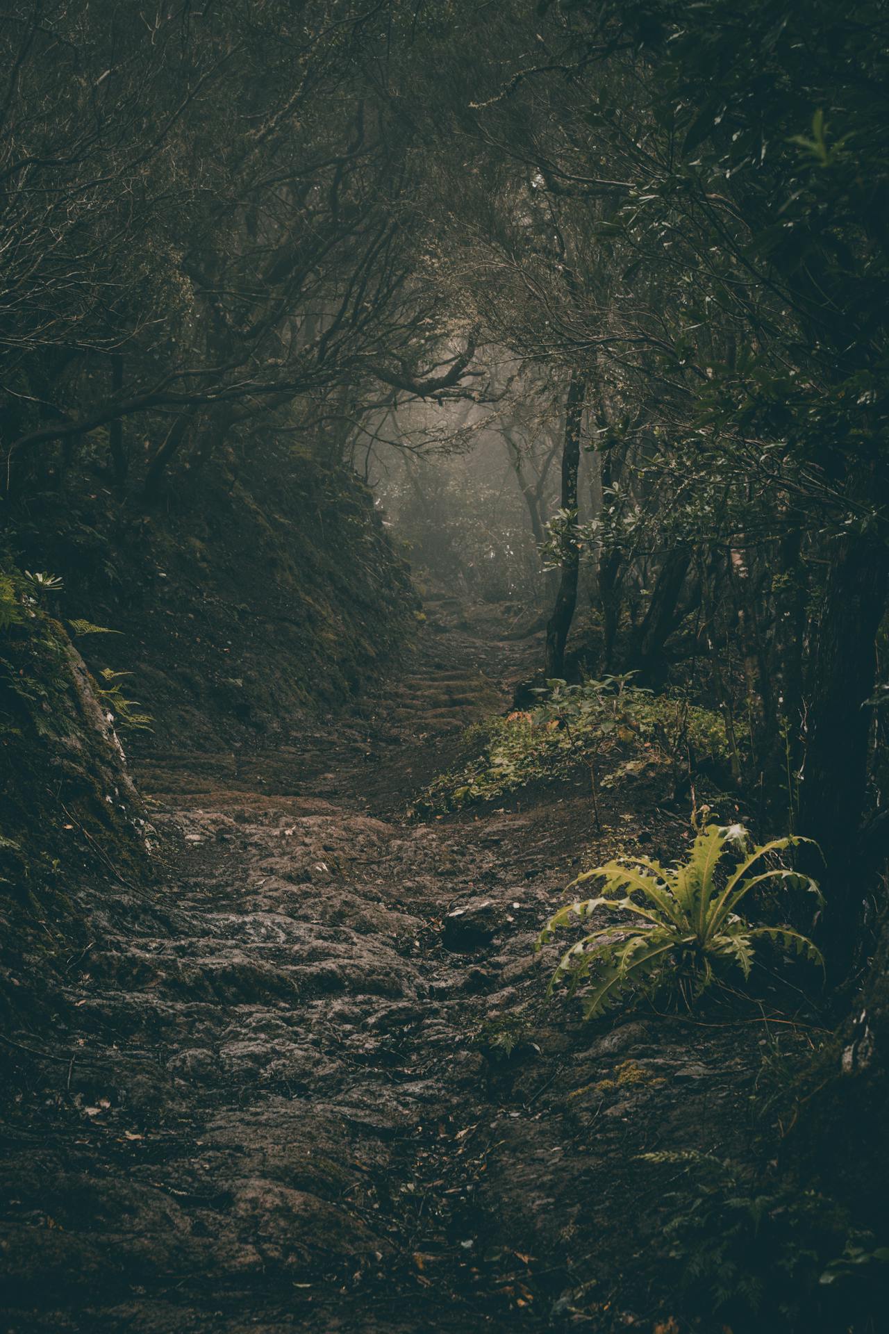 Maximizing Impact: How Custom Challenge Coins Drive Success in Forestry ...